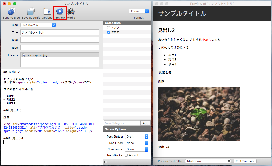 これだけ。MarsEditの30日無料トライアル版を導入して記事を投稿する方法【WordPress】